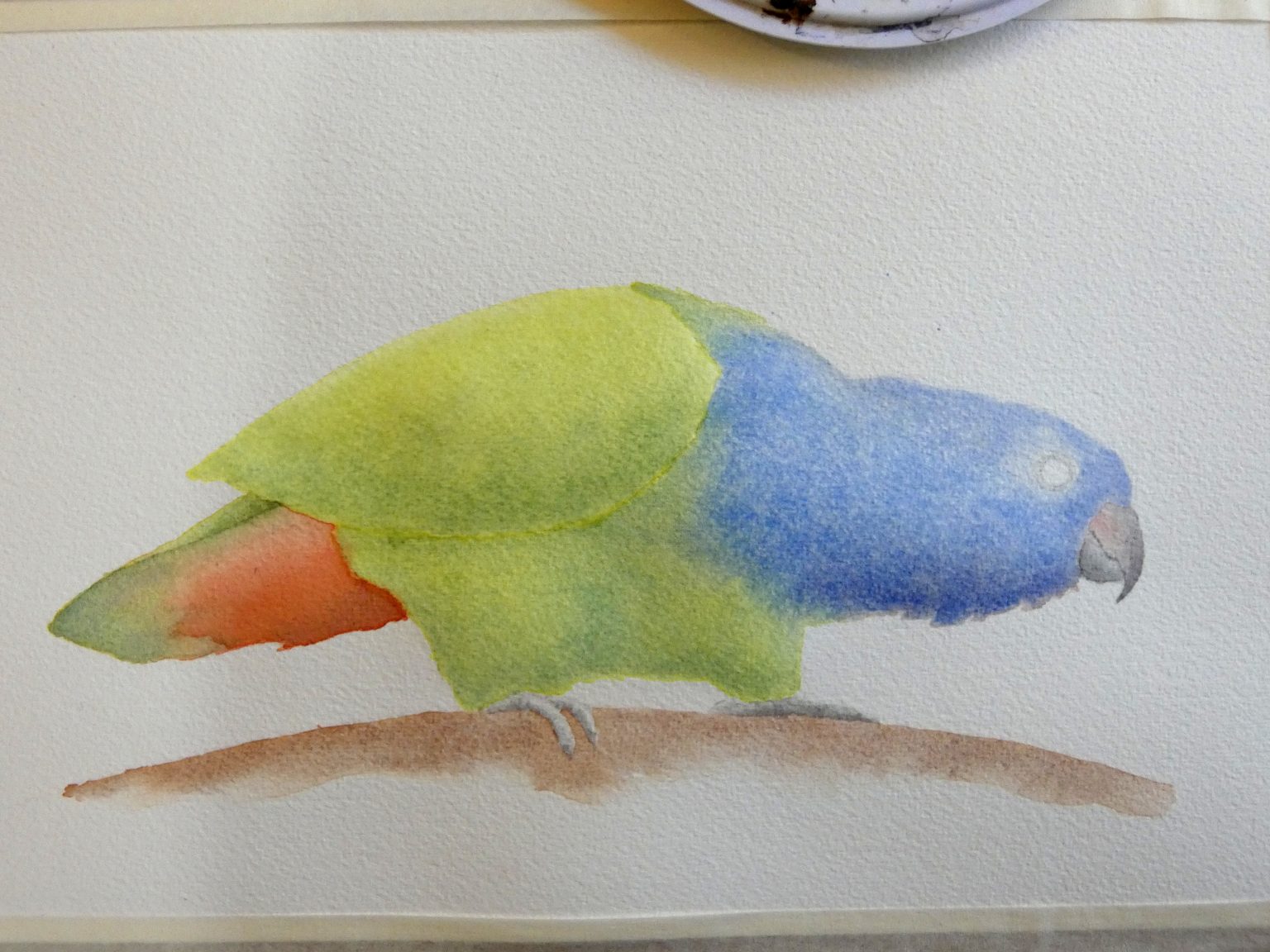How to Paint a Parrot with Watercolors - BirdDetails