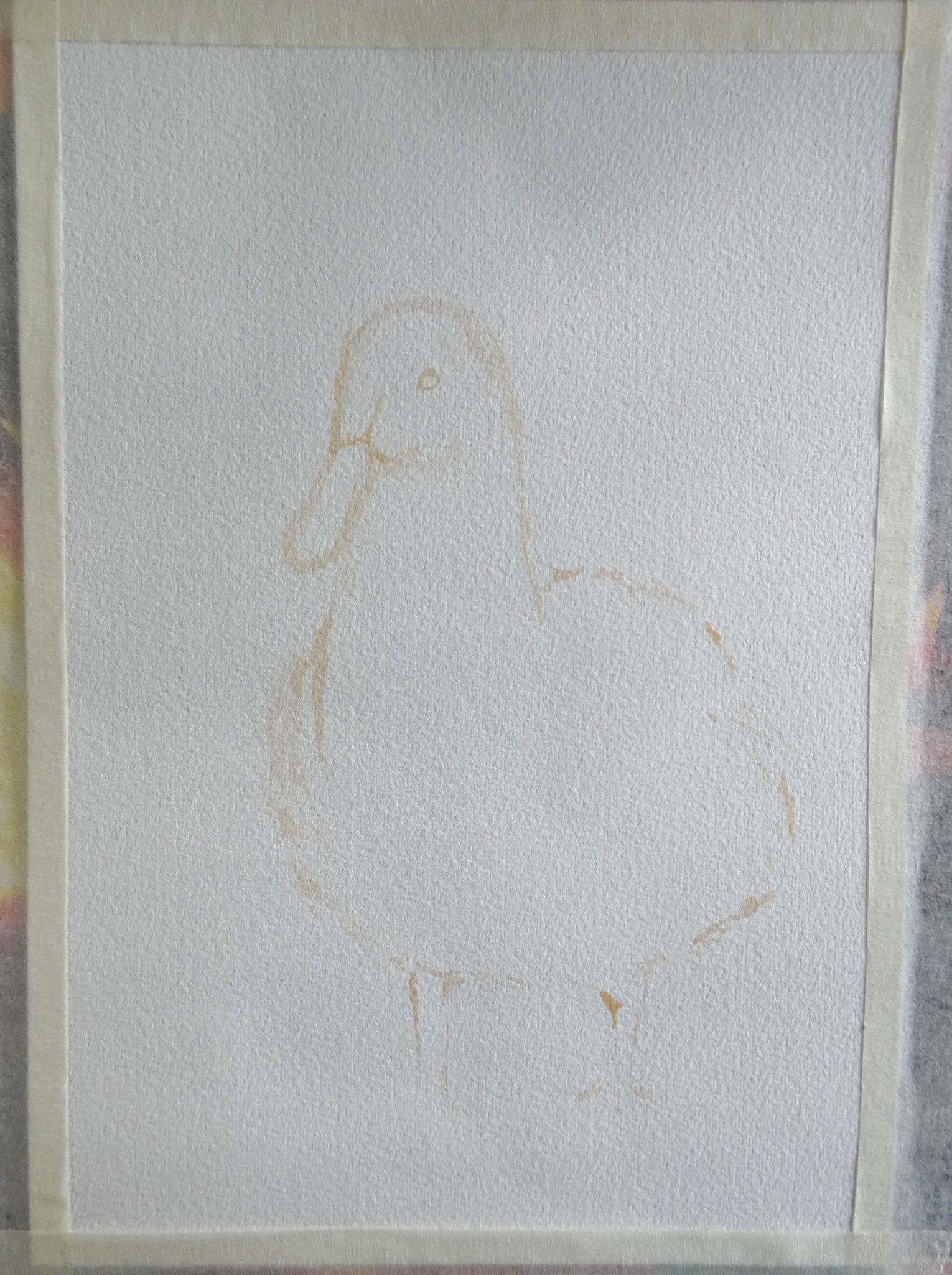 How to Paint a Duck with Watercolors - BirdDetails